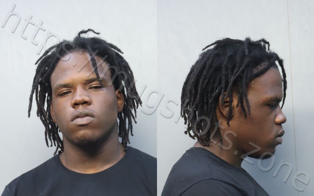 WHITE VINCENT KENNETH 03/26/2026 - Miami-Dade County Mugshots Zone