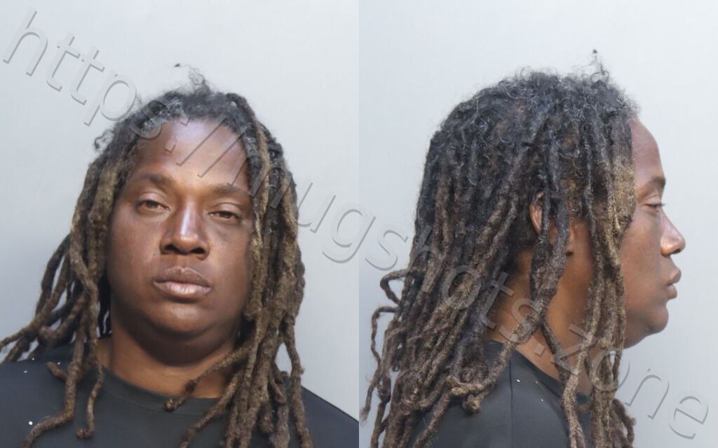 JOHNSON NATASHA KIM 03/28/2026 - Miami-Dade County Mugshots Zone
