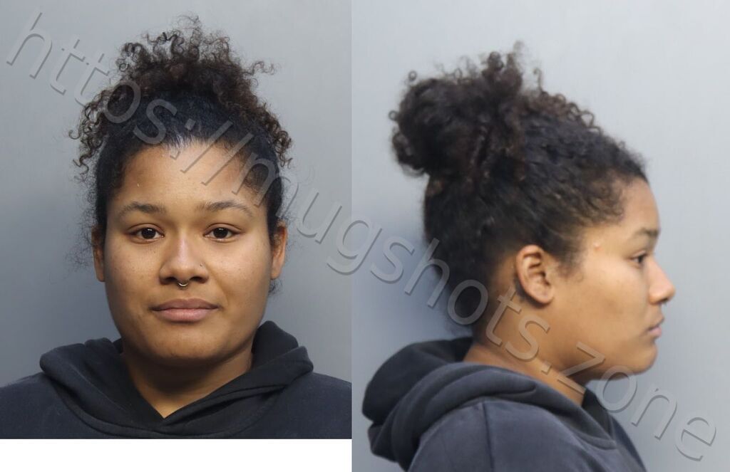 PINEER ELIZABETH EMELINA 03/29/2026 - Miami-Dade County Mugshots Zone