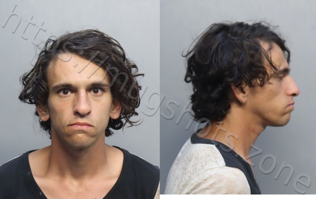 DUBE JAMIE ALAN 04/01/2026 - Miami-Dade County Mugshots Zone