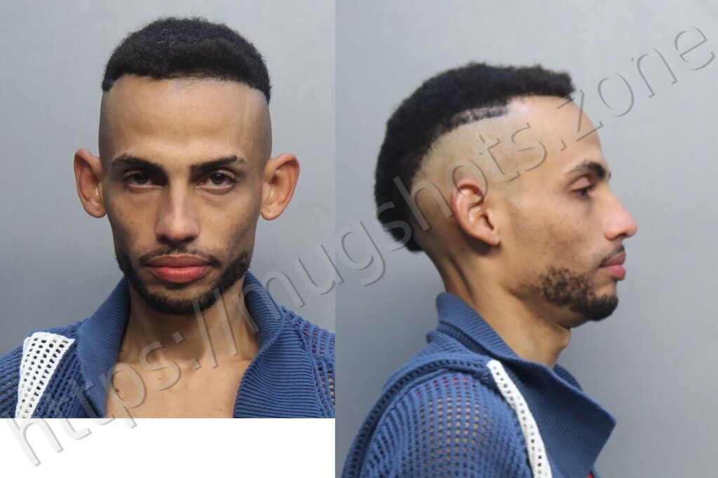PULIDO DEIKEL 04/01/2026 - Miami-Dade County Mugshots Zone