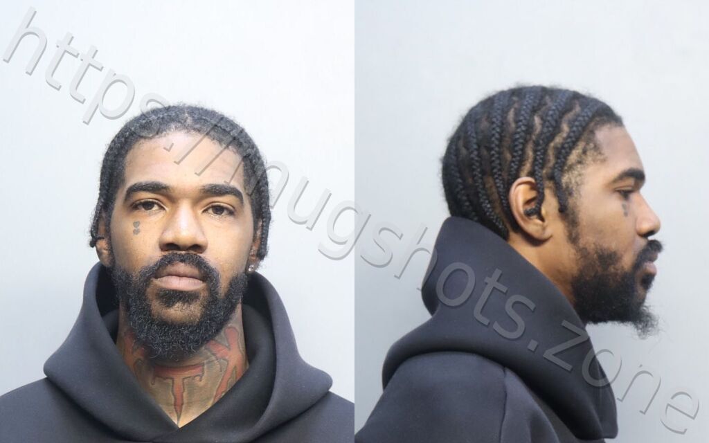 COLEMAN JAYLYN 04/01/2026 - Miami-Dade County Mugshots Zone
