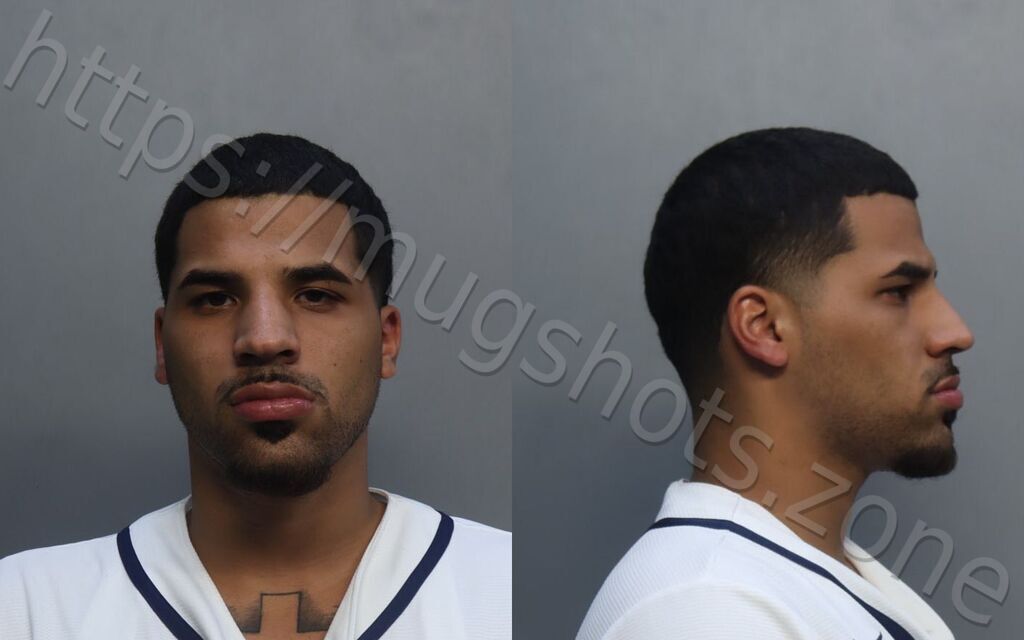 RIVERA KENDELL ROMAN 04/01/2026 - Miami-Dade County Mugshots Zone