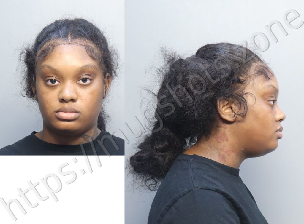 PERKINS DIAMOND DIAMONTE 04/03/2026 - Miami-Dade County Mugshots Zone