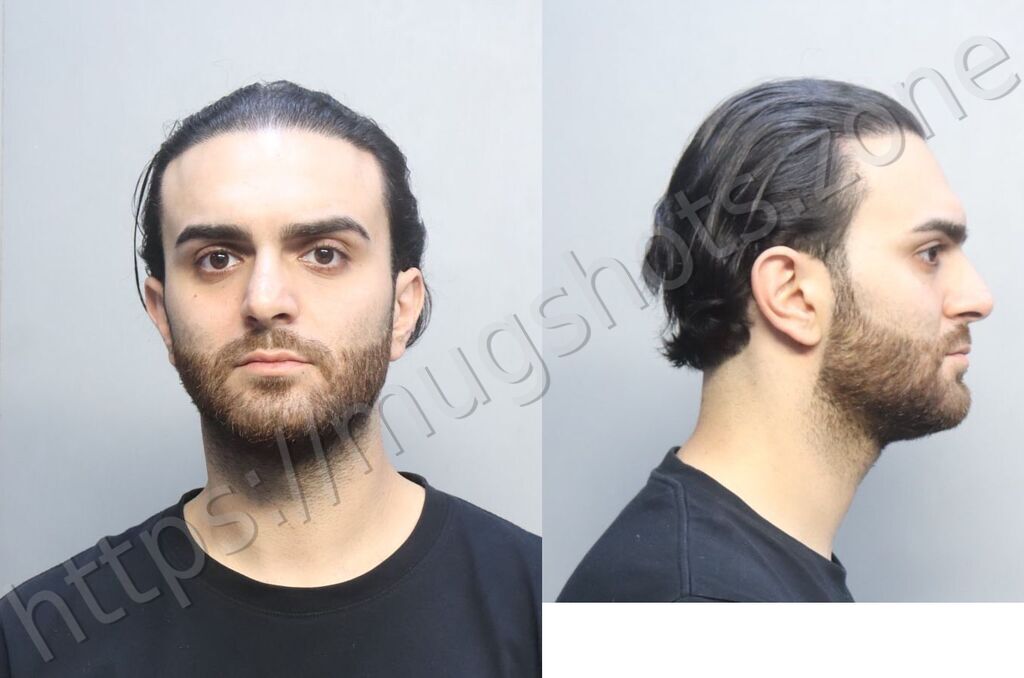 LEVIEV DANIEL JOHNNY 04/04/2026 - Miami-Dade County Mugshots Zone