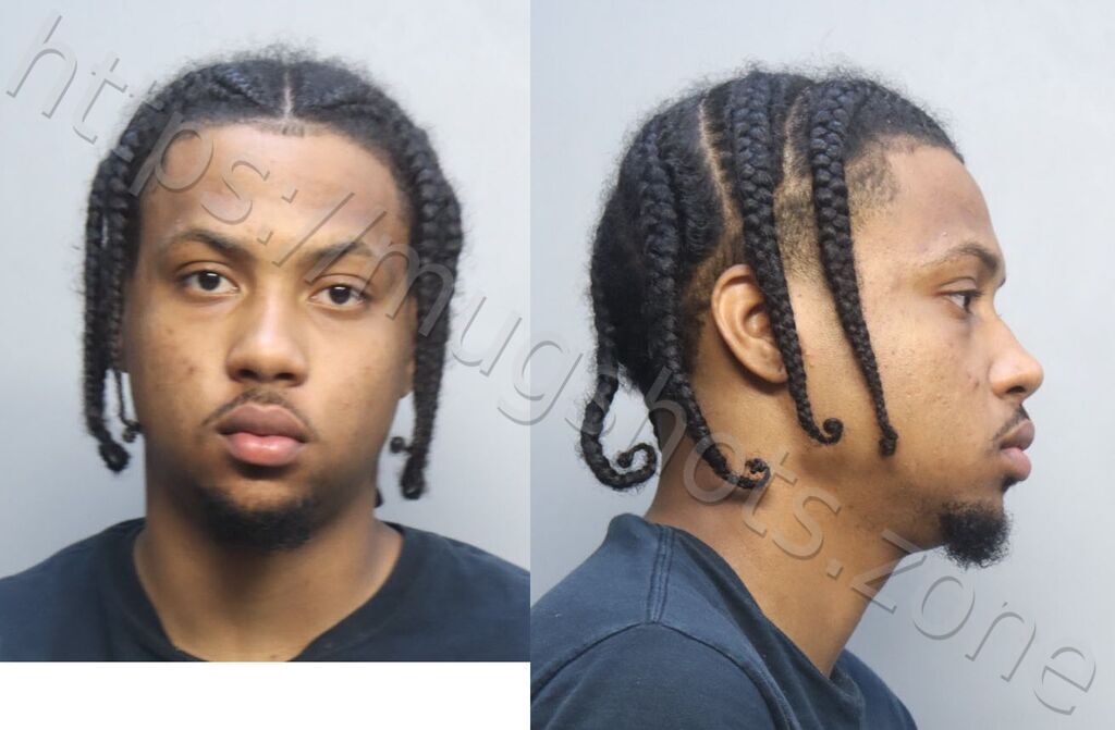 JOHNSON GIOVANNI MARCUS 04/05/2026 - Miami-Dade County Mugshots Zone