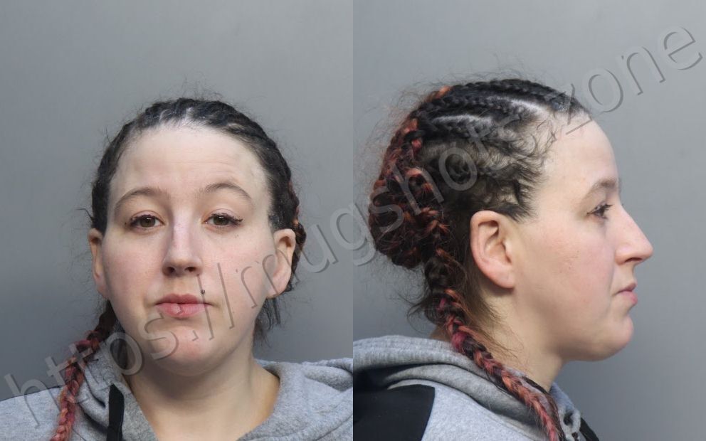 LOEFFELBEIN ASHLEY DEBRA 04/06/2026 - Miami-Dade County Mugshots Zone