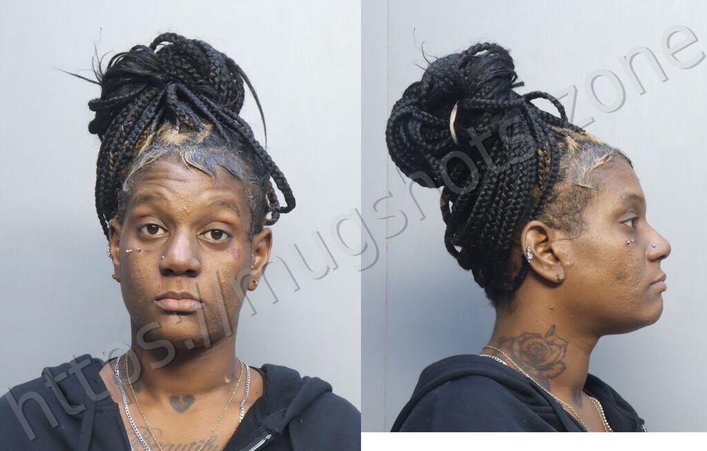 GRAHAM LAKESHIA 04/08/2026 - Miami-Dade County Mugshots Zone