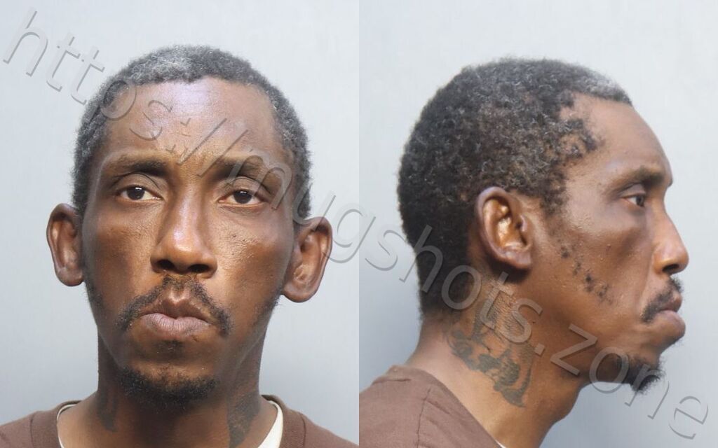 WARREN JOSEPH DEMETAIUS 04/09/2026 - Miami-Dade County Mugshots Zone