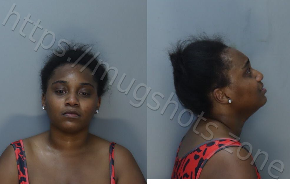 BOZEMAN ALEXIS D 04/10/2026 - Miami-Dade County Mugshots Zone
