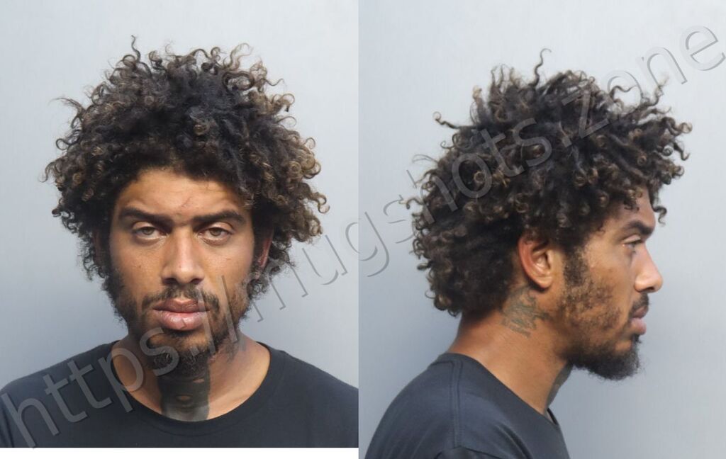 LEYVA ARIEL IGNACIO 04/12/2026 - Miami-Dade County Mugshots Zone