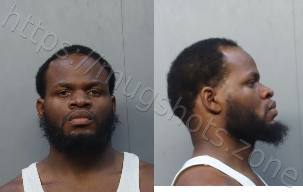 HAGGINS JAHARD DREVONTAY 04/13/2026 - Miami-Dade County Mugshots Zone