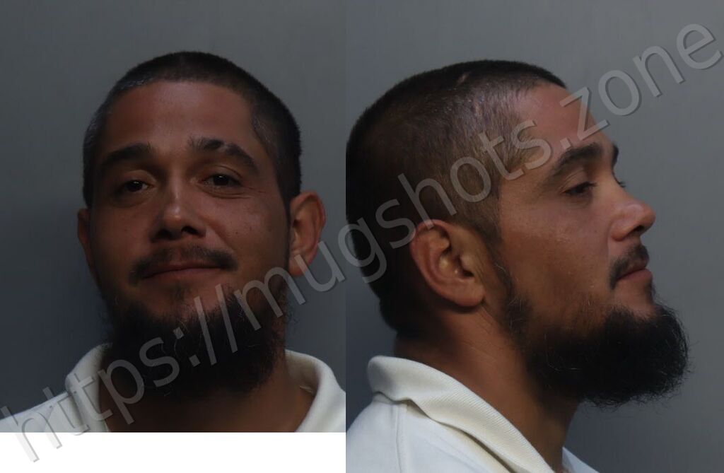 BARRETO DAVID JOSEPH 04/14/2026 - Miami-Dade County Mugshots Zone