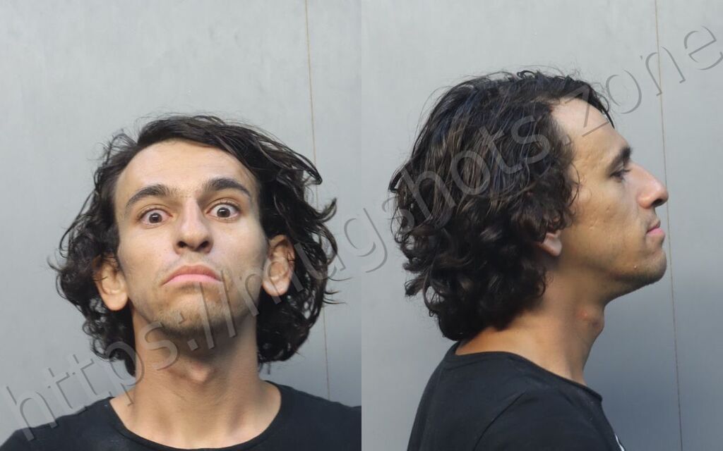 DUBE JAMIE ALAN 04/17/2026 - Miami-Dade County Mugshots Zone