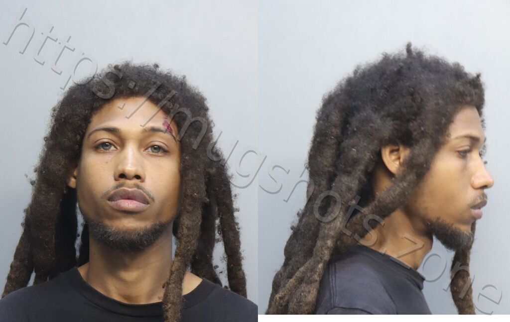 THOMAS JOHNATHON DESHUN 04/18/2026 - Miami-Dade County Mugshots Zone