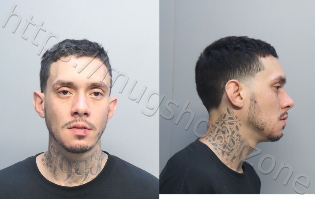LORENZANA AARON LUIS 05/17/2026 - Miami-Dade County Mugshots Zone