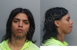 ALVA RONY ALEXANDER 05/18/2026 - Miami-Dade County Mugshots Zone