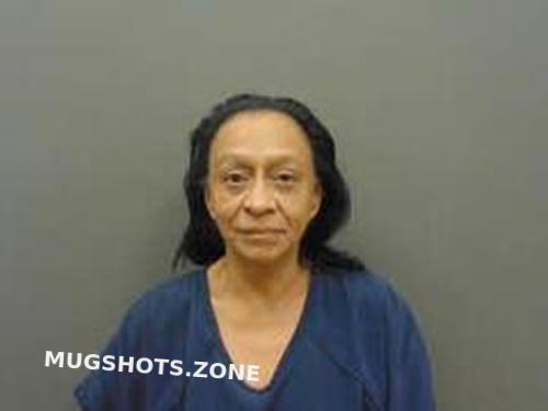 IRENE RANGEL 01/18/2024 - Milam County Mugshots Zone