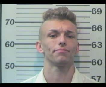 FIELDS NATHAN LEON JR 12/23/2020 - Mobile County Mugshots Zone