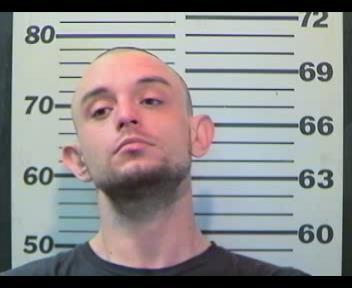 FEENSTRA DANIEL CARL 01/20/2021 - Mobile County Mugshots Zone