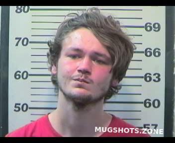 HENDRICKS AIDAN L 05/22/2021 - Mobile County Mugshots Zone