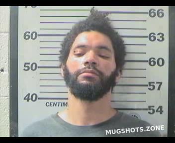 TAYLOR TERRANCE DARNELL 07/21/2022 - Mobile County Mugshots Zone