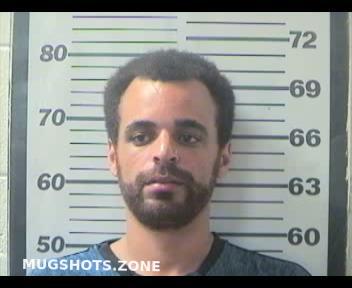 FORD ROBYN DALE JR 08/14/2022 - Mobile County Mugshots Zone
