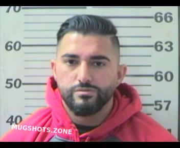 FERHATOVIC DENIS 11/15/2022 - Mobile County Mugshots Zone