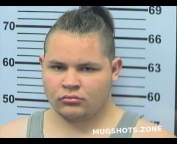 WILSON MILES ORION 04/04/2023 - Mobile County Mugshots Zone