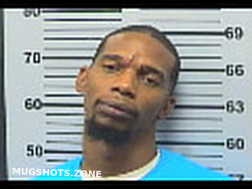 TILLMAN ROBIN LEE 11/12/2023 - Mobile County Mugshots Zone