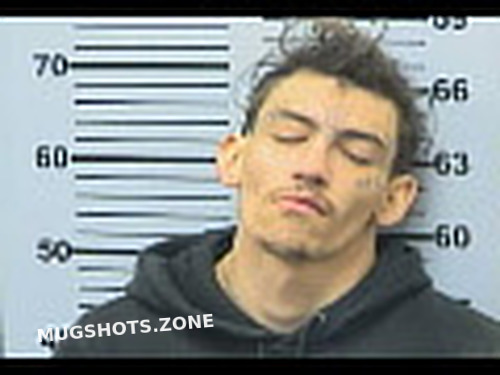 HIERONYMOUS MICHAEL ROBERT 11/22/2023 - Mobile County Mugshots Zone