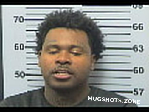 YOUNG DARWIN HOLT 01/17/2024 - Mobile County Mugshots Zone