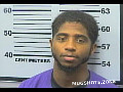 LOWE JOHNNY LEE JR 01/28/2024 - Mobile County Mugshots Zone