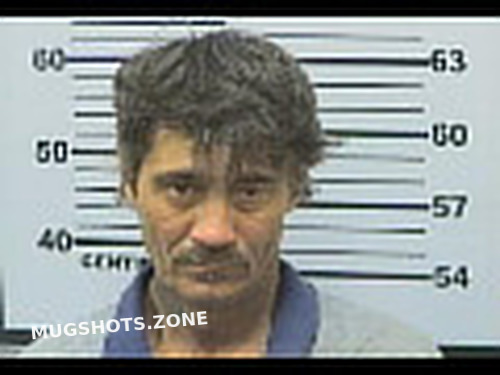 HAYNES ROBERT WAYNE 02/02/2024 - Mobile County Mugshots Zone