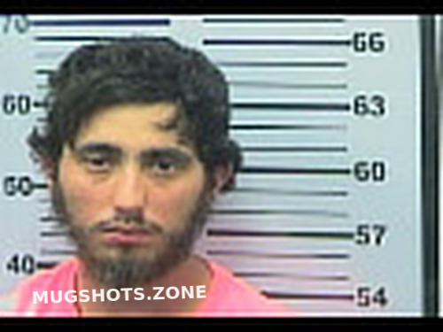 SMITH BRIAN LEE 02/08/2024 - Mobile County Mugshots Zone