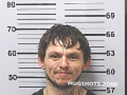 LYONS JAMES WENDELLE JR 05/30/2024 - Mobile County Mugshots Zone