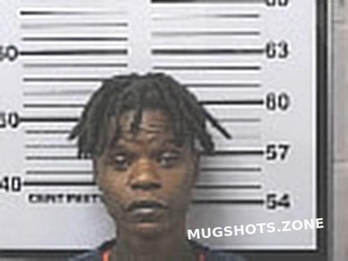 JAMES VALARIE DENISE 06/04/2024 - Mobile County Mugshots Zone
