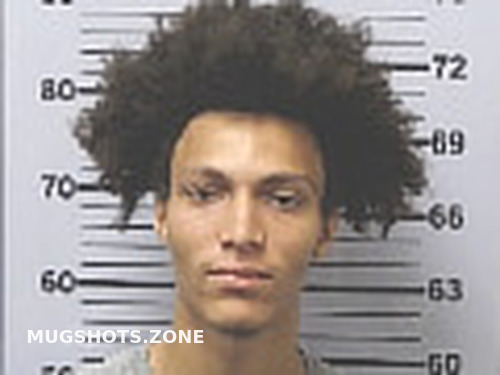 REED JACOB SAMUEL 07/03/2024 - Mobile County Mugshots Zone