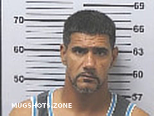 WEAVER ADAM SHANE 07/11/2024 - Mobile County Mugshots Zone