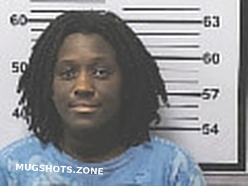DAVIS BRIENNA ALAYNE 07/22/2024 - Mobile County Mugshots Zone