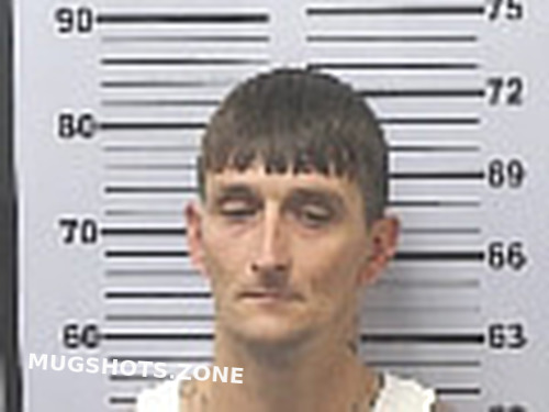 HAYS CHRISTOPHER LEE 08/03/2024 - Mobile County Mugshots Zone