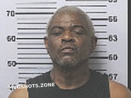 HARRISON JAMES DAVID 08/04/2024 - Mobile County Mugshots Zone