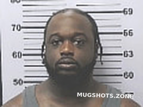 TODD DEMECO DARRELL 08/11/2024 - Mobile County Mugshots Zone