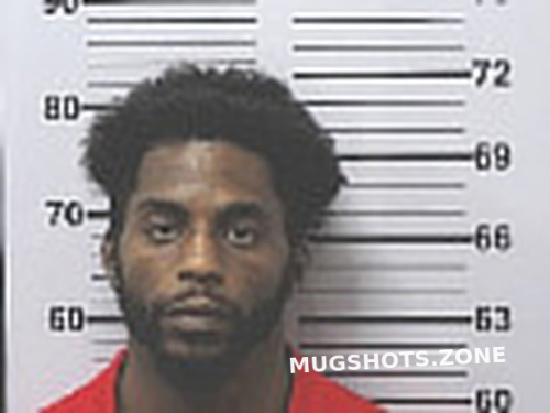 JAMES TERRENCE DEVON 08/13/2024 - Mobile County Mugshots Zone