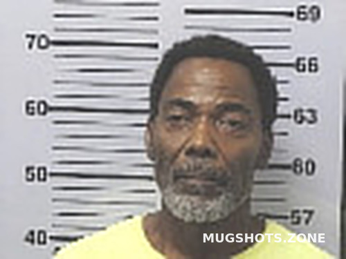 DAVIS TERRY 08/13/2024 - Mobile County Mugshots Zone