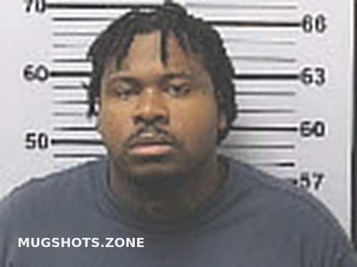 YOUNG DARWIN HOLT 08/27/2024 - Mobile County Mugshots Zone