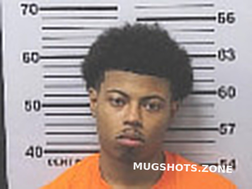 EDNEY JR WILSON TERRELL 08/28/2024 - Mobile County Mugshots Zone