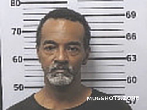 YOUNG JOSEPH GREGORY JR 08/28/2024 - Mobile County Mugshots Zone