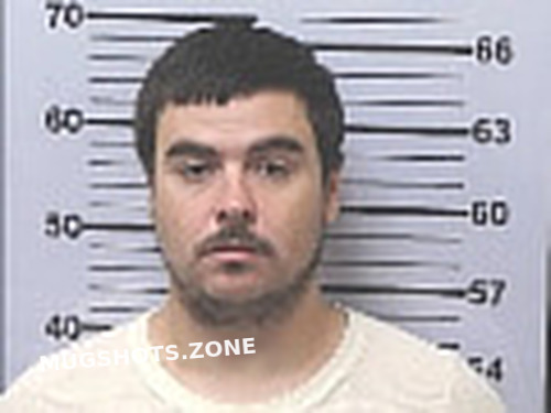 LEWIS MILO GABRIEL 10/10/2024 - Mobile County Mugshots Zone