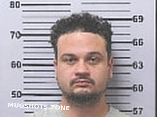 JONES LASHUNDA CIVITA 10/20/2024 - Mobile County Mugshots Zone